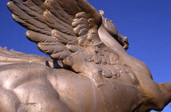 Collections – rupertharris